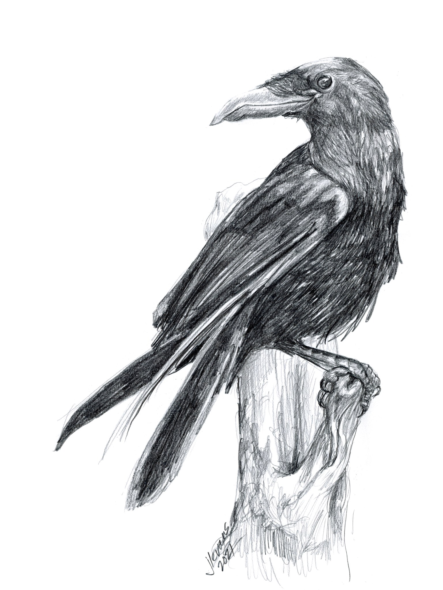 Black & white – jessica linn evans