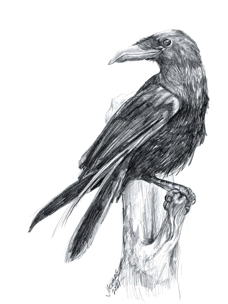 Black & white – jessica linn evans