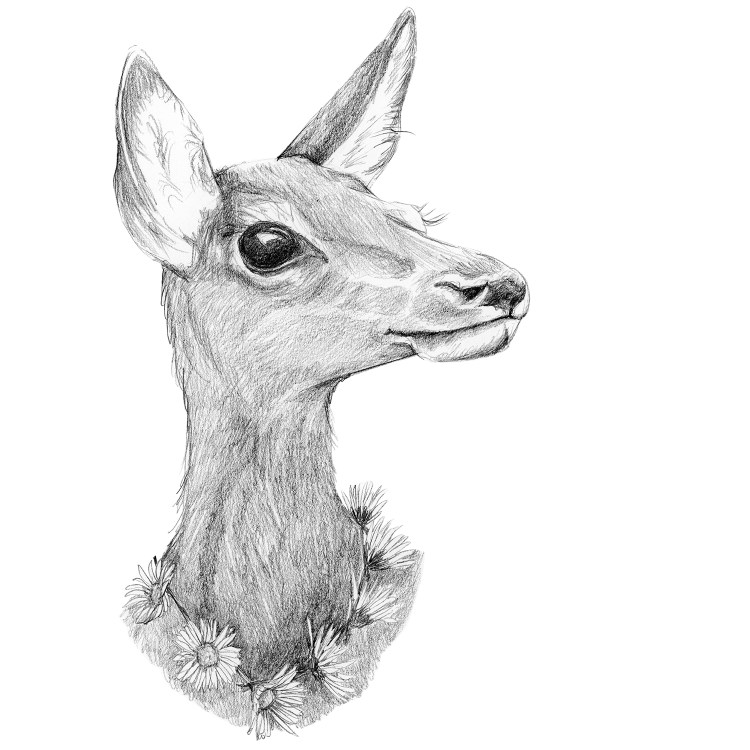 Black & white – jessica linn evans